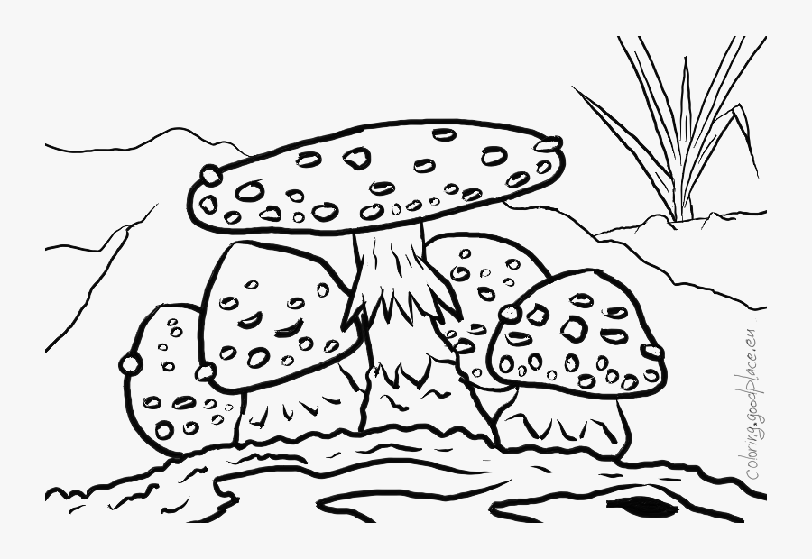 Transparent Toadstool Png - Illustration , Free Transparent Clipart ...