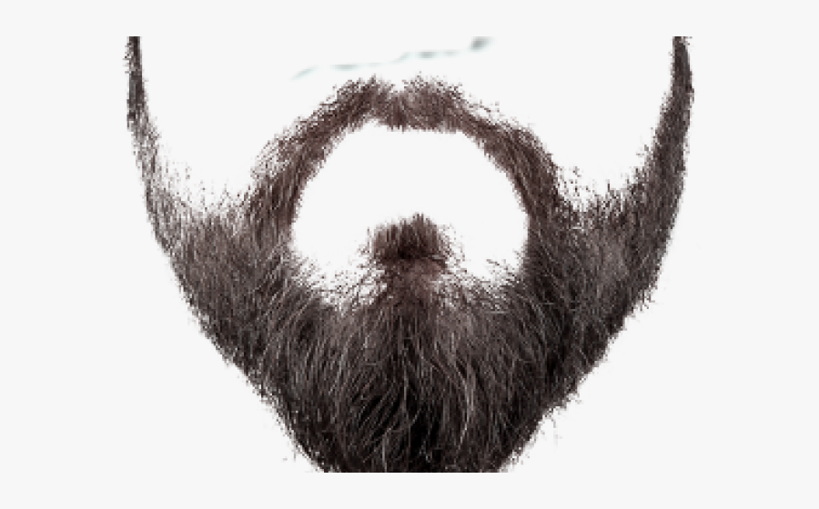 Transparent Background Beard Png , Free Transparent Clipart - ClipartKey