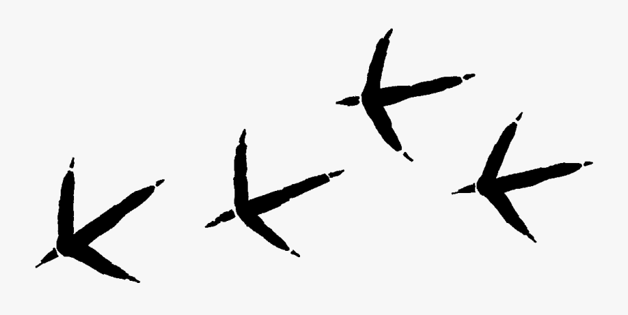 Turkey Foot Prints Png Clipart , Png Download - Turkey Footprints ...