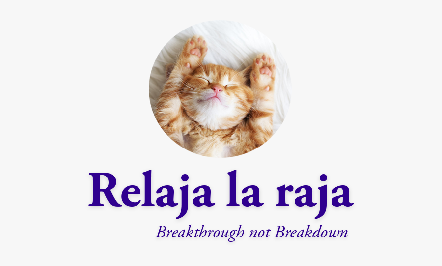 Clip Art Relaja La Raja Breakthrough - Cat Yawns , Free Transparent ...