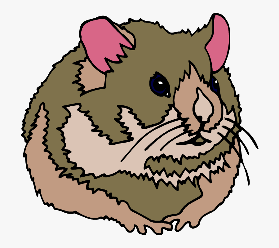 Net Force Clipart - Hamster , Free Transparent Clipart - ClipartKey