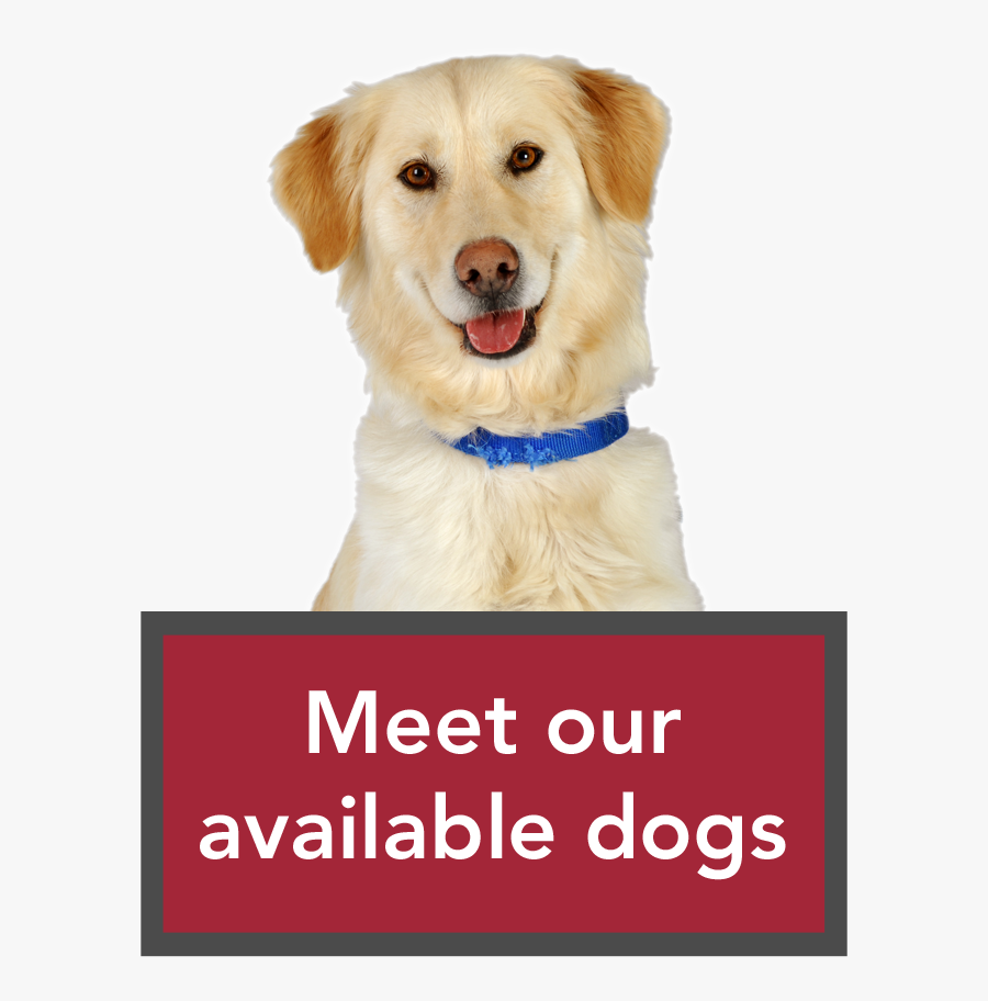 Adoption Humane Society , Free Transparent Clipart - ClipartKey