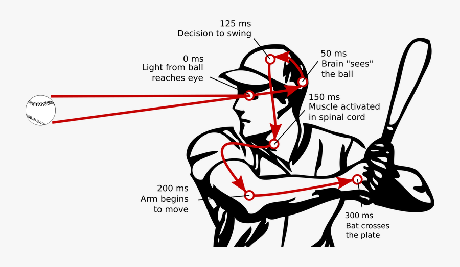 Reaction Time Png - Reaction Time In Sport Clip Art , Free Transparent ...