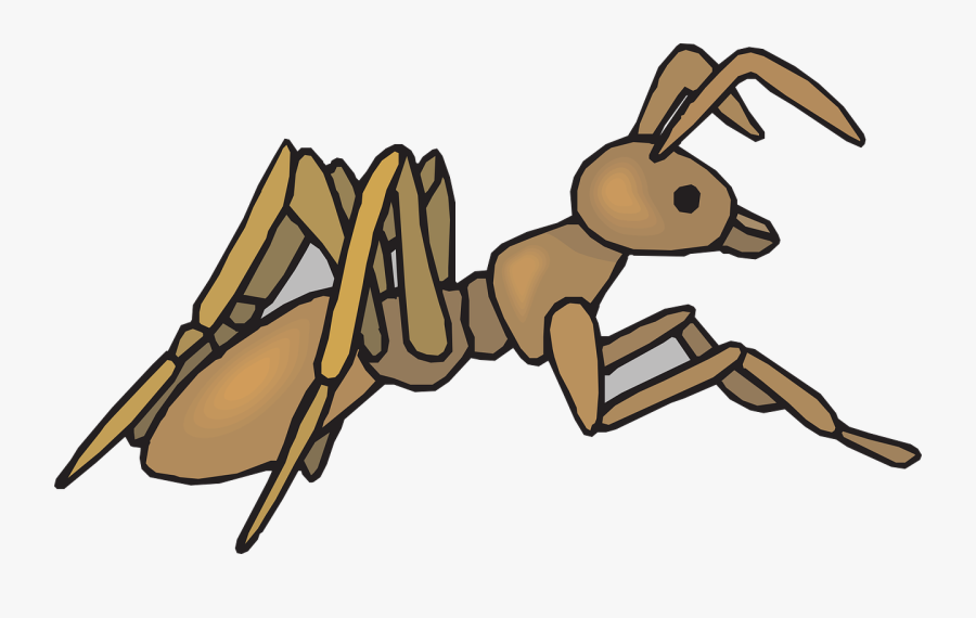 Ant Insect Brown Free Photo - Free Printable Insect Flashcards , Free ...