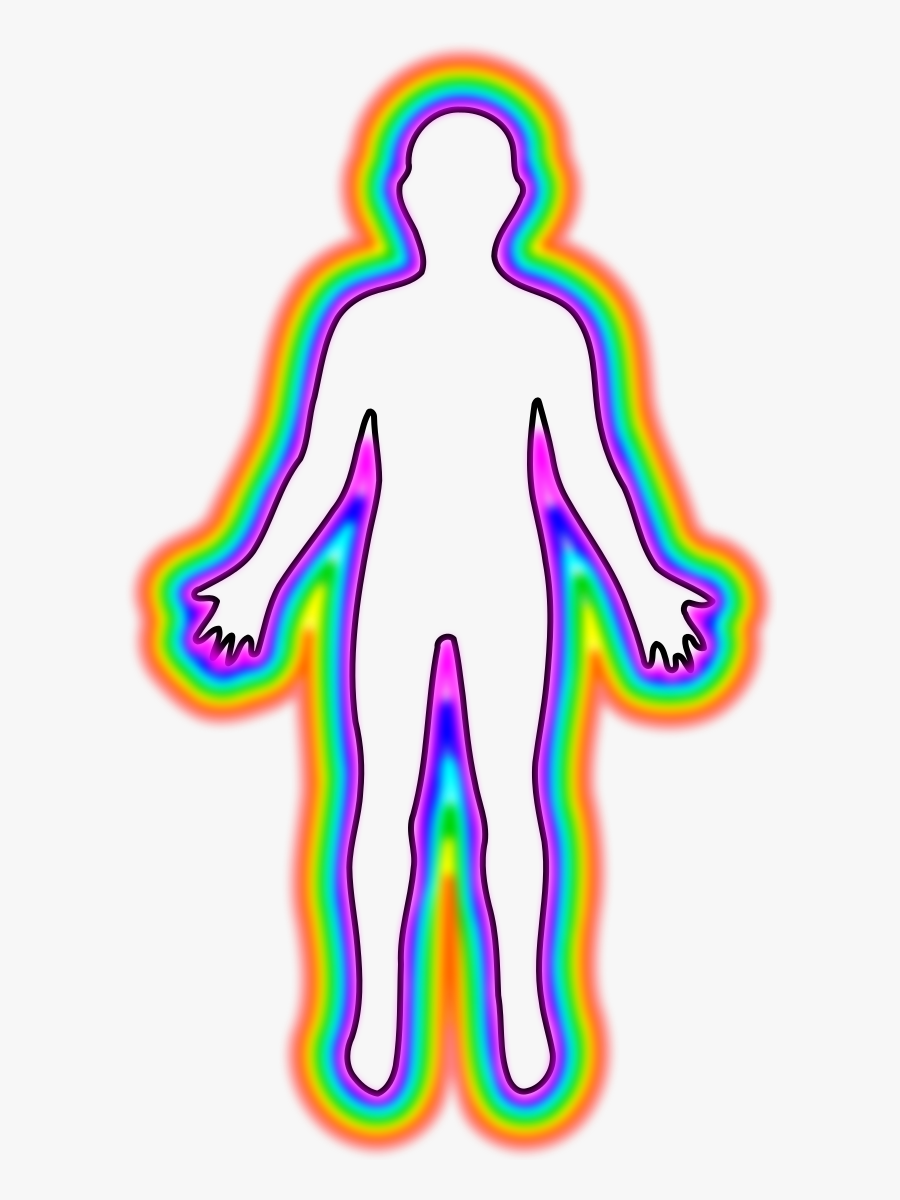 Human Body Female Body Shape Outline Clip Art Transparent Human Body 