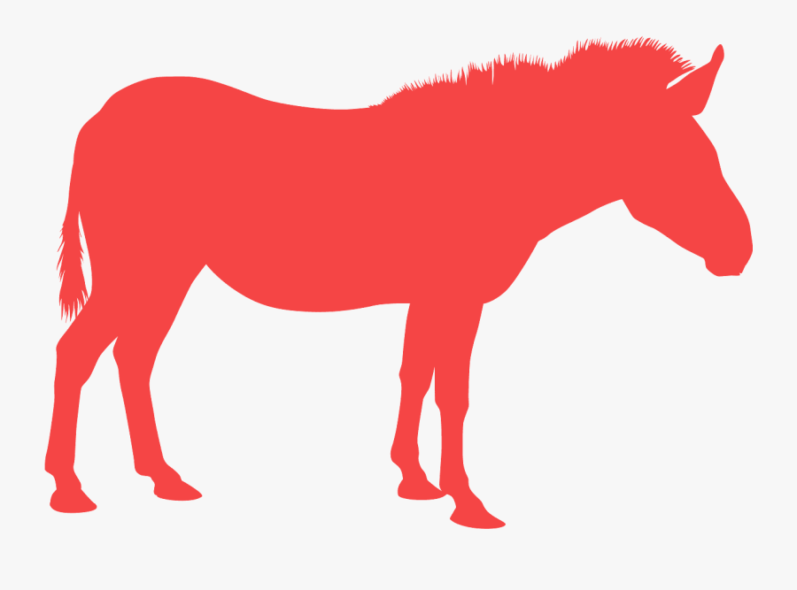 Mane , Free Transparent Clipart - ClipartKey