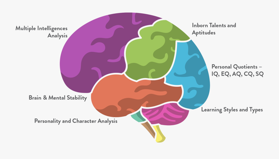 Multiple Intelligences Profiling - Multiple Intelligences In The Brain ...