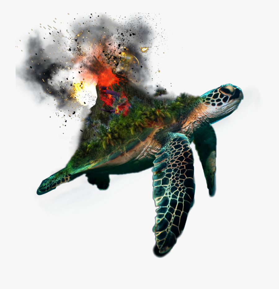#turtle #volcano #eruption #lava #surrealism #surreal - Hawksbill Sea ...