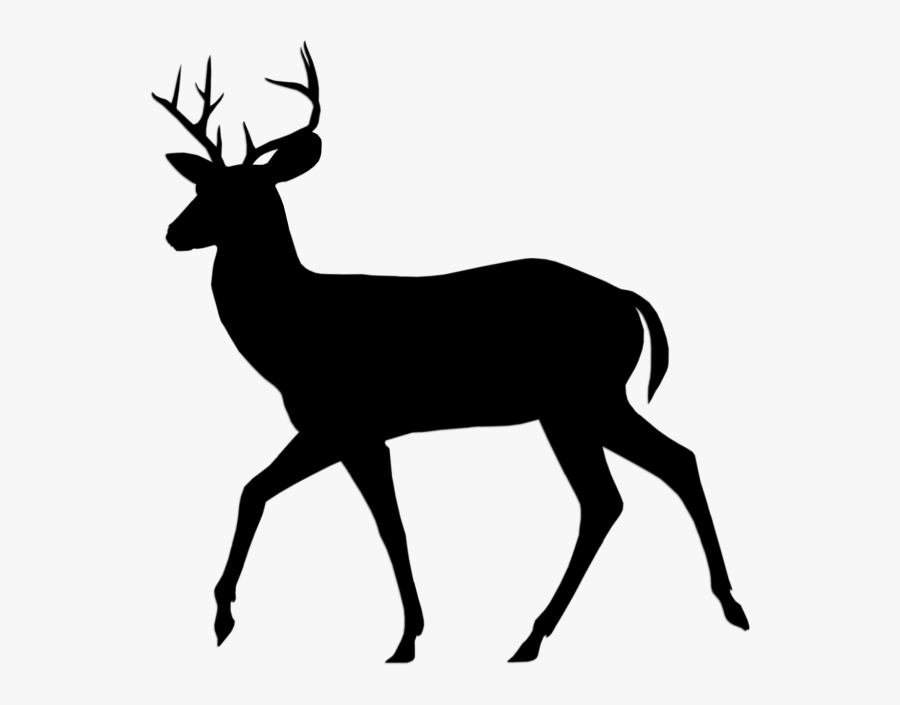 Vector Graphics Illustration Royalty-free Silhouette - Drawing Picture ...