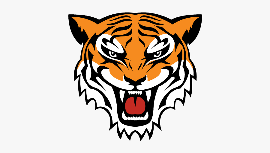 Transhu Simple Tiger Face Drawing Step By Step