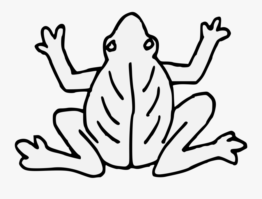 Heraldic Frog , Free Transparent Clipart - ClipartKey