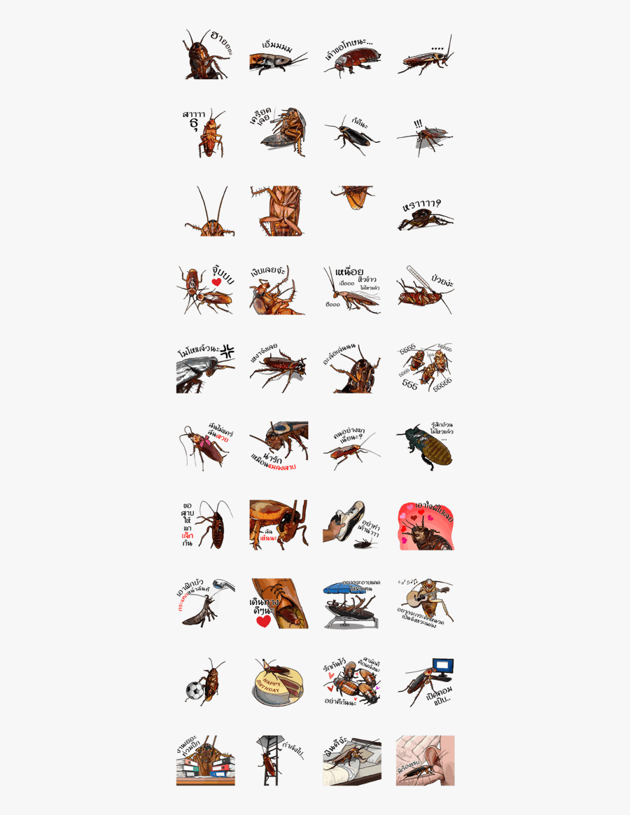 Amazing Cockroach - Stickers Caro Y Felipe Png , Free Transparent ...