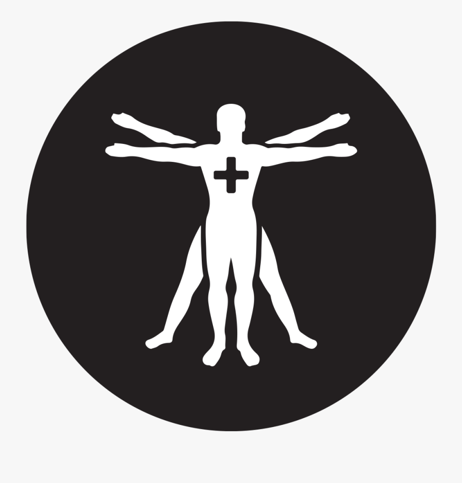 Anatomy And Physiology , Free Transparent Clipart - ClipartKey