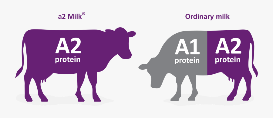 Only A2 Protein - A1 Vs A2 Milk , Free Transparent Clipart - ClipartKey