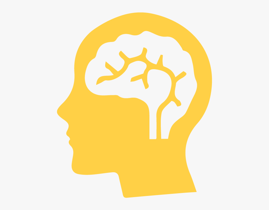 Brain And Spinal Cord Png , Free Transparent Clipart - ClipartKey