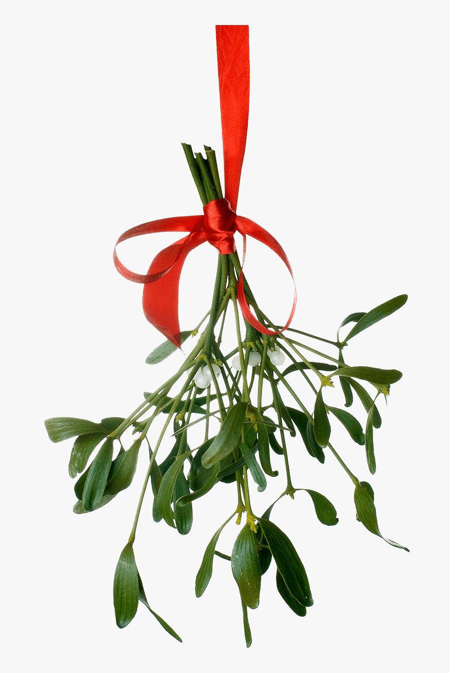 Mistletoe Png Clipart - Mistletoe Meme , Free Transparent Clipart ...