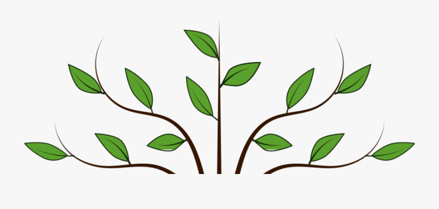 Animated Tree With Leaves , Free Transparent Clipart - ClipartKey