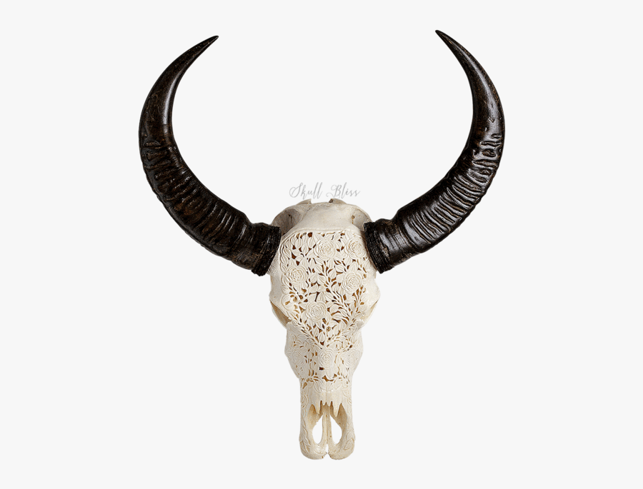 Carved Buffalo Skull - Gothic Bull Skull , Free Transparent Clipart ...