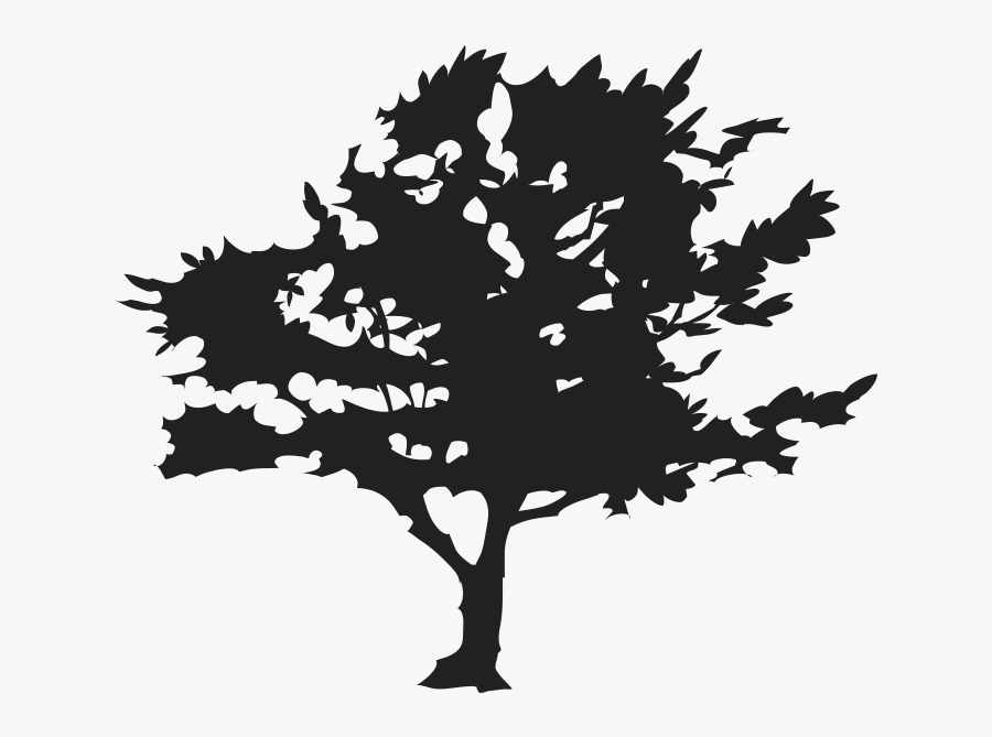 Plane-tree Family , Free Transparent Clipart - ClipartKey