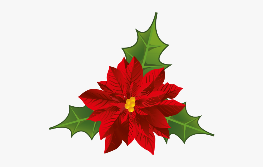 Poinsettia Flower Christmas Clip Art - Christmas Flower Png , Free ...