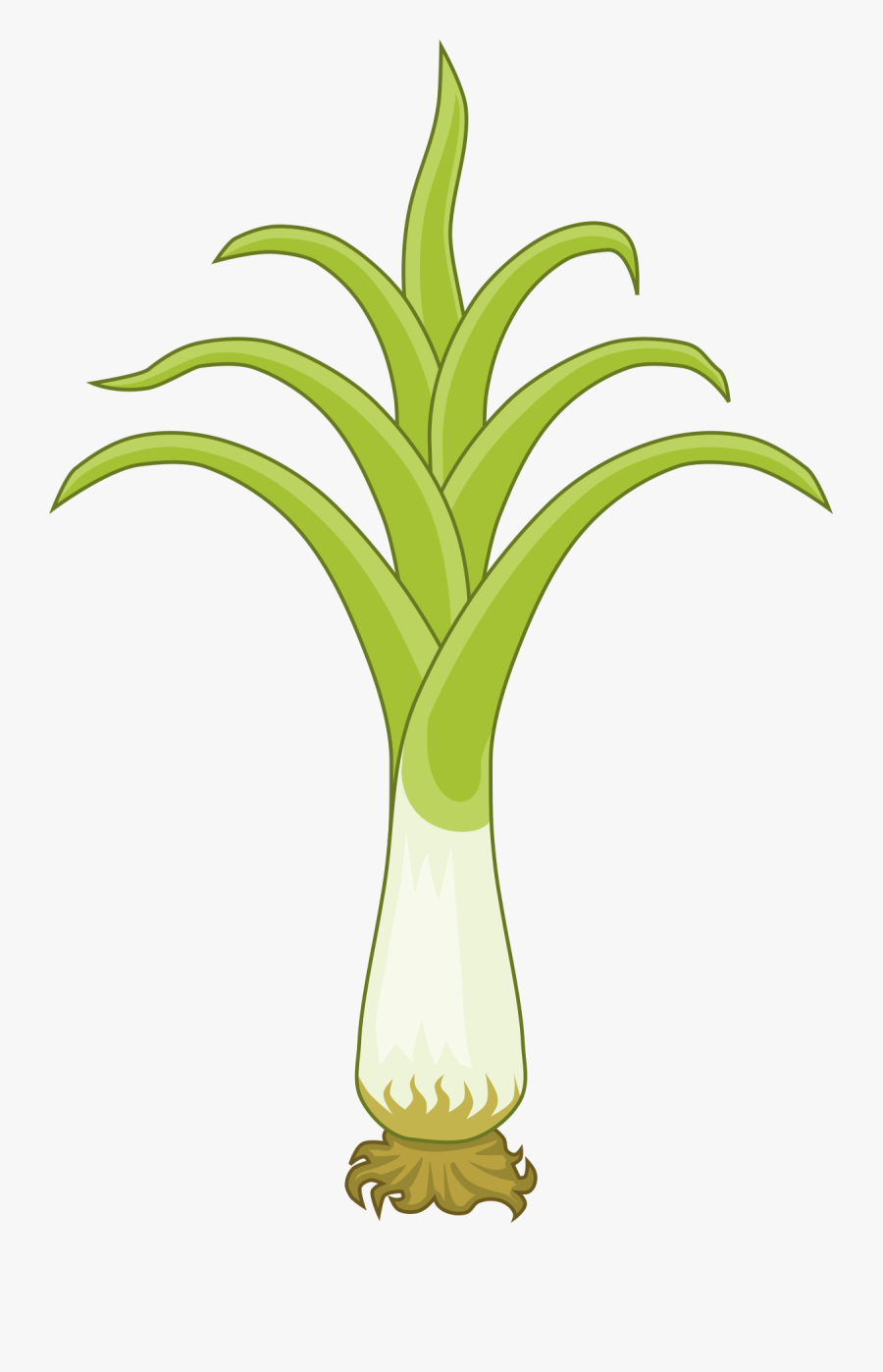Welsh Leek Emblem , Free Transparent Clipart - ClipartKey