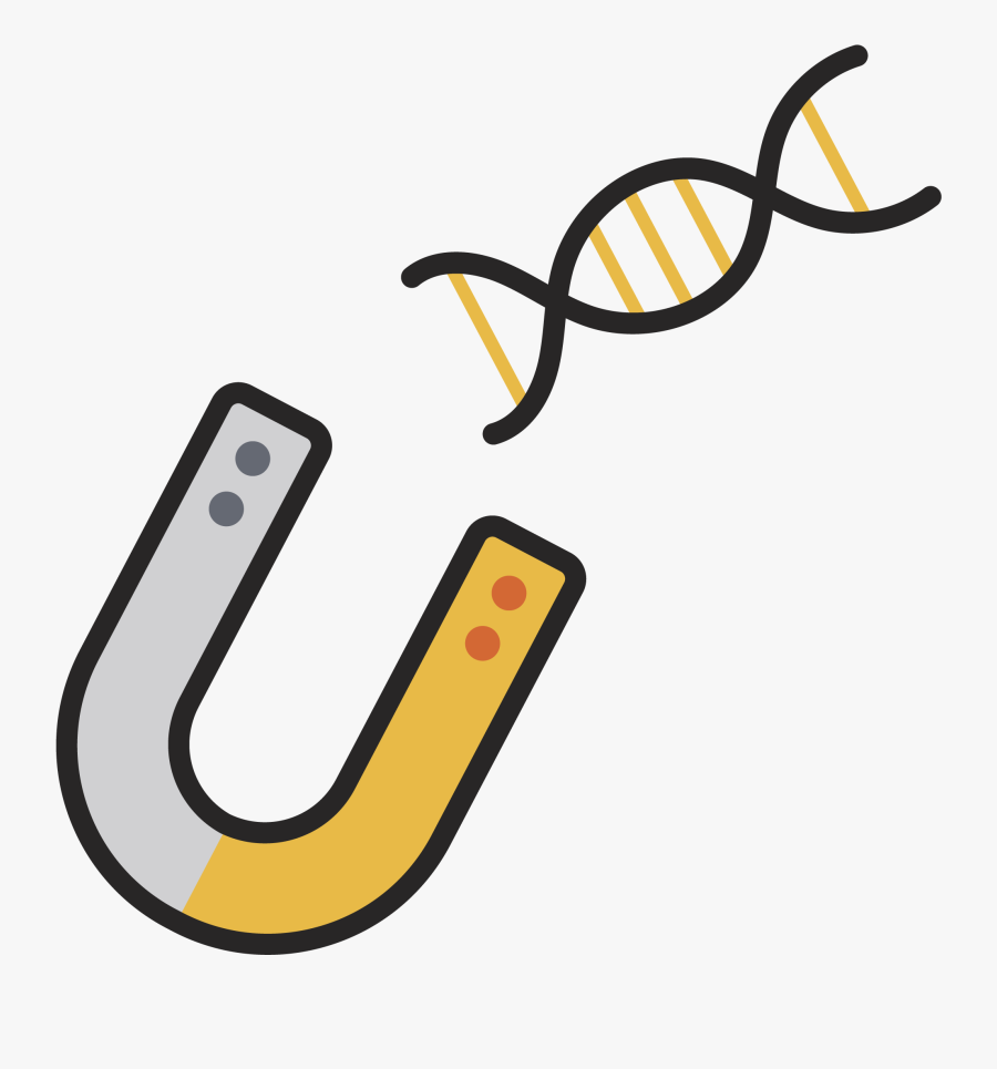 Nucleic Acid Isolation Clipart , Png Download - Nucleic Acid Double ...
