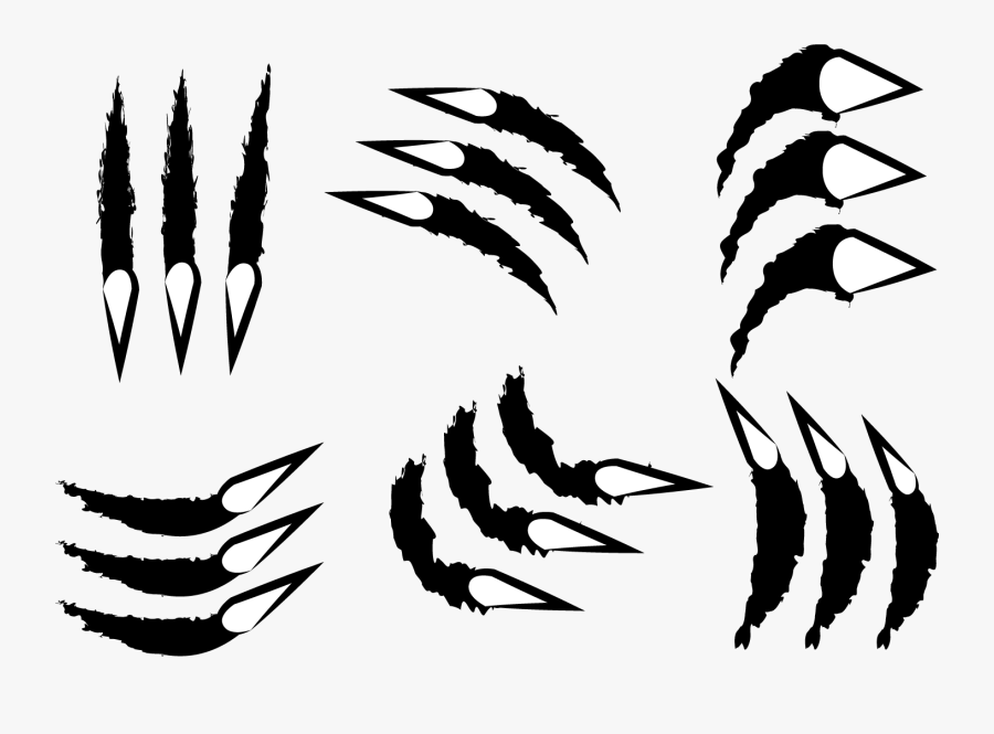 Lion Paw Vector Png , Free Transparent Clipart - ClipartKey
