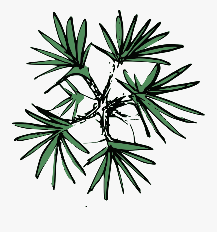 Tree Symbol Landscape Transparent , Free Transparent Clipart - ClipartKey