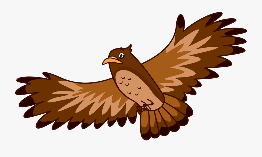 Buzzard , Free Transparent Clipart - ClipartKey