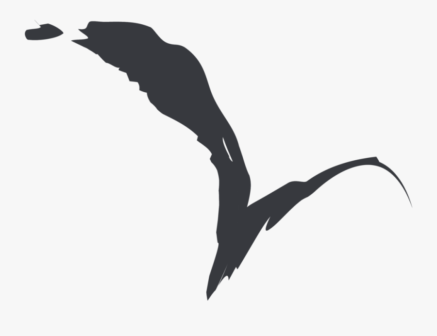 Bird Crop - Illustration , Free Transparent Clipart - ClipartKey