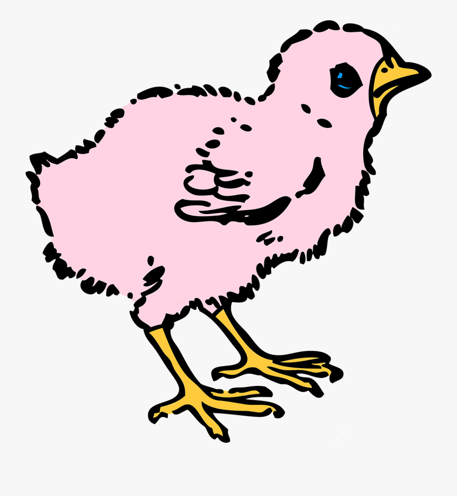 Easter Colored Chick Spring Free Photo - Clip Art Black And White Chick ...