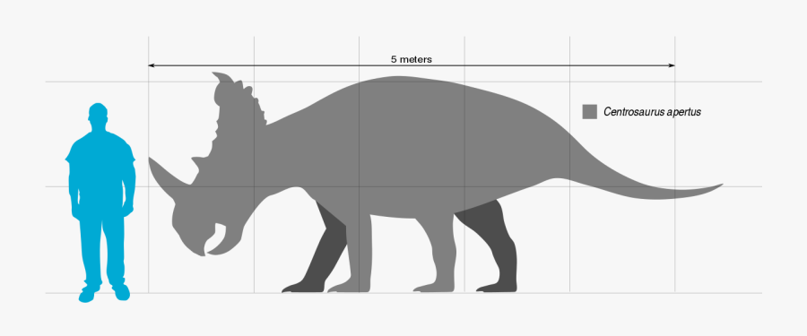 Centrosaurus Size , Free Transparent Clipart - ClipartKey
