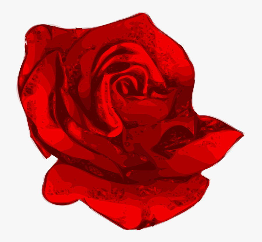Plant,flower,garden Roses - Rose Without Stem Png , Free Transparent ...