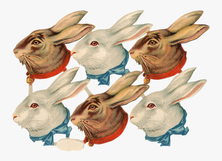 Rabbit , Free Transparent Clipart - ClipartKey