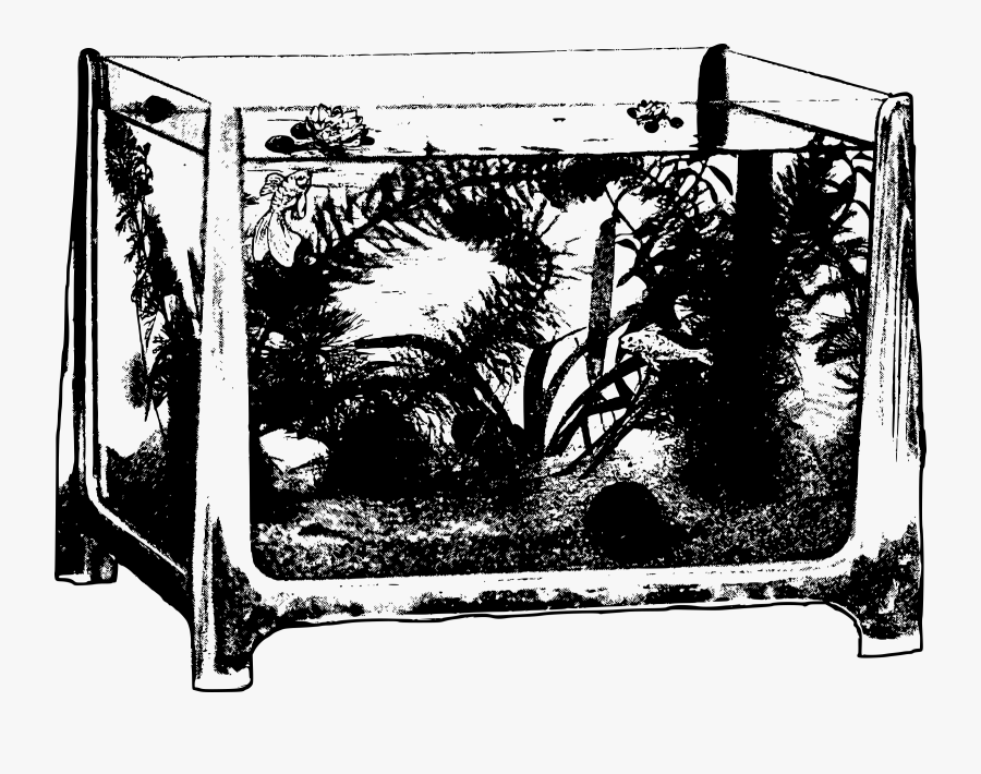 Picture Frame,monochrome Photography,tree , Free Transparent Clipart ...