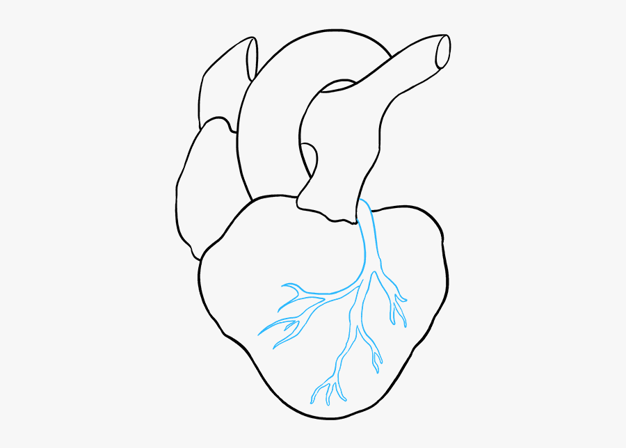 Clip Art How To Draw A Real Heart Simple Drawing Free Transparent Clip Art How To Draw A Real Heart Simple Drawing Free Transparent