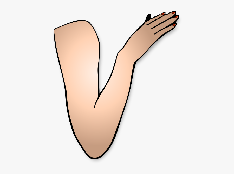 Vector Drawing Of Lady Arm Bent At Elbow - Arms Clipart , Free ...