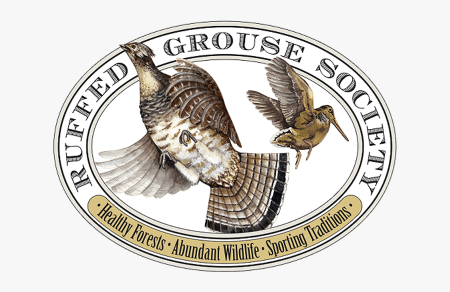 Ruffed Grouse Society , Free Transparent Clipart - ClipartKey