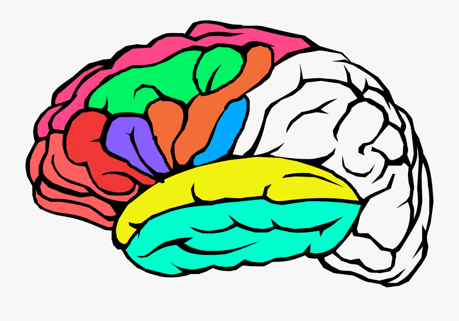 Transparent Background Brain Transparent , Free Transparent Clipart ...