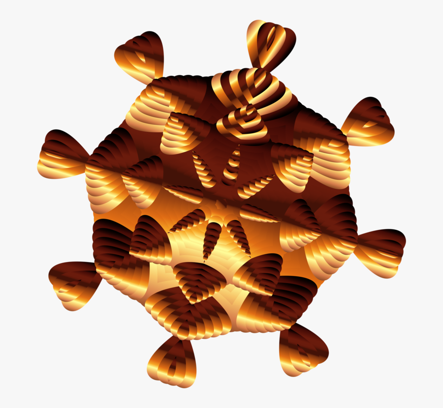 Turtle,tortoise,alien Planet - Illustration , Free Transparent Clipart ...