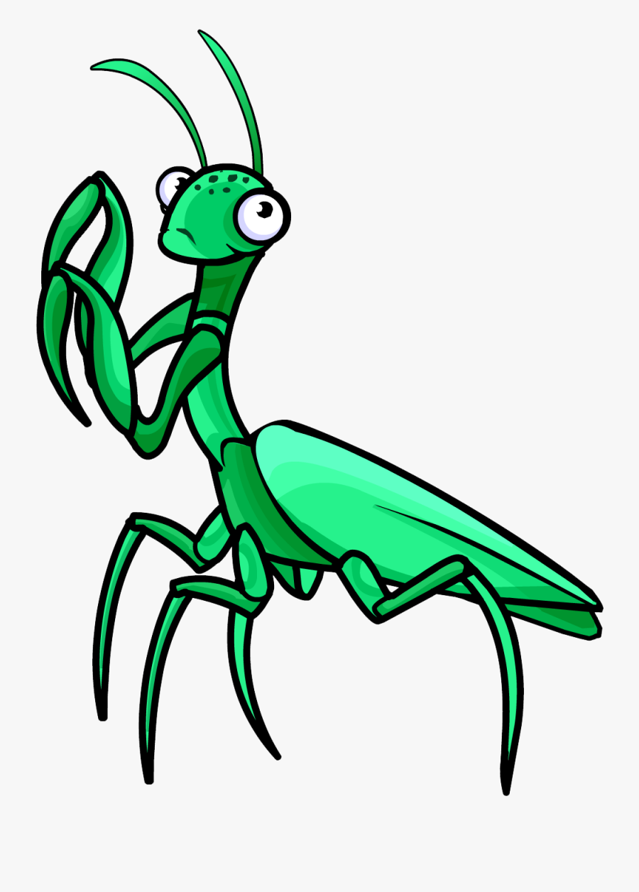 Mantis Png - Praying Mantis Clipart Png , Free Transparent Clipart ...