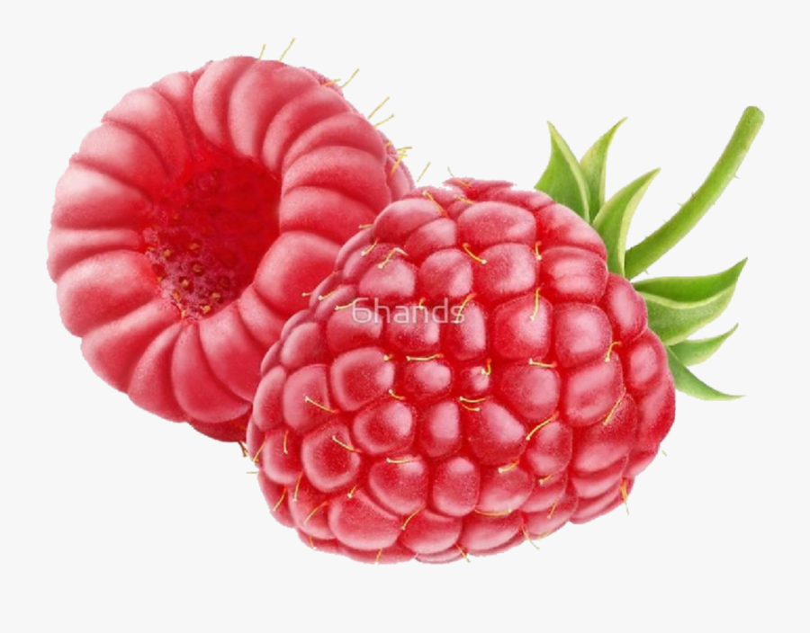 Raspberry Blackberry , Free Transparent Clipart - ClipartKey