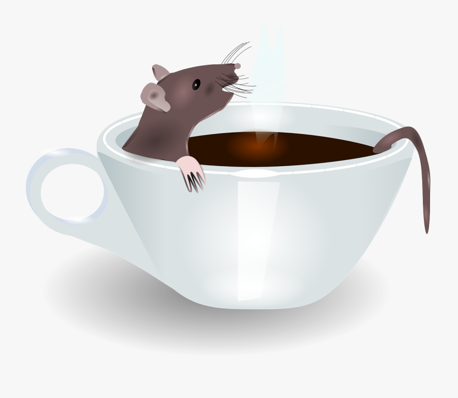 Coffee, Cup Rat Coffee Morning Steam Bath Rodent M - Rat In Coffee ...