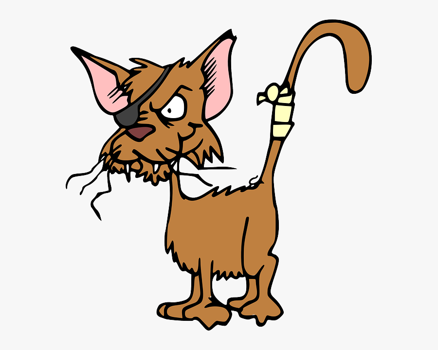 Funny Cat Clip Art , Free Transparent Clipart - ClipartKey