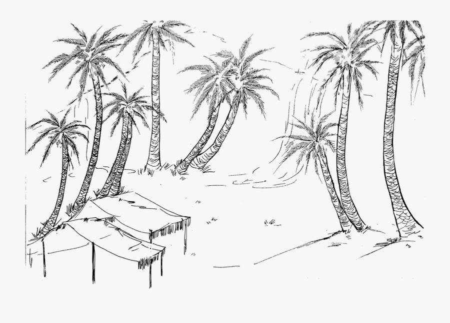 Line Art,plant,art - Marah And Elim Coloring Pages , Free Transparent ...