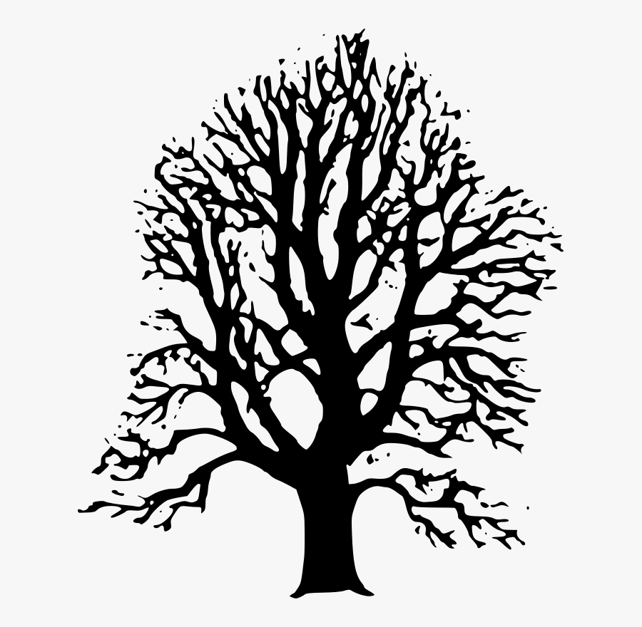 Clipart Black Tree Png - Lime Tree Clip Art , Free Transparent Clipart ...