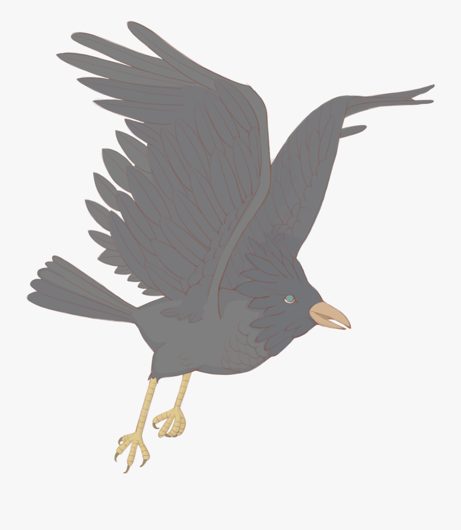 Hand Drawn Grey Crow Bird Png And Psd - อีกา วาด ภาพ , Free Transparent ...