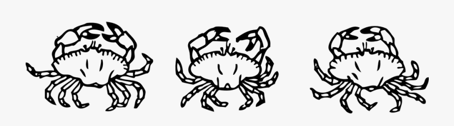 Crab Outline , Free Transparent Clipart - ClipartKey