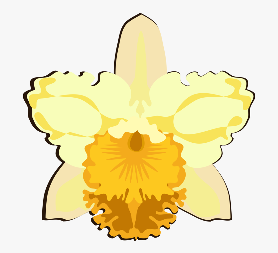 Plant,flower,symmetry - Flower , Free Transparent Clipart - ClipartKey