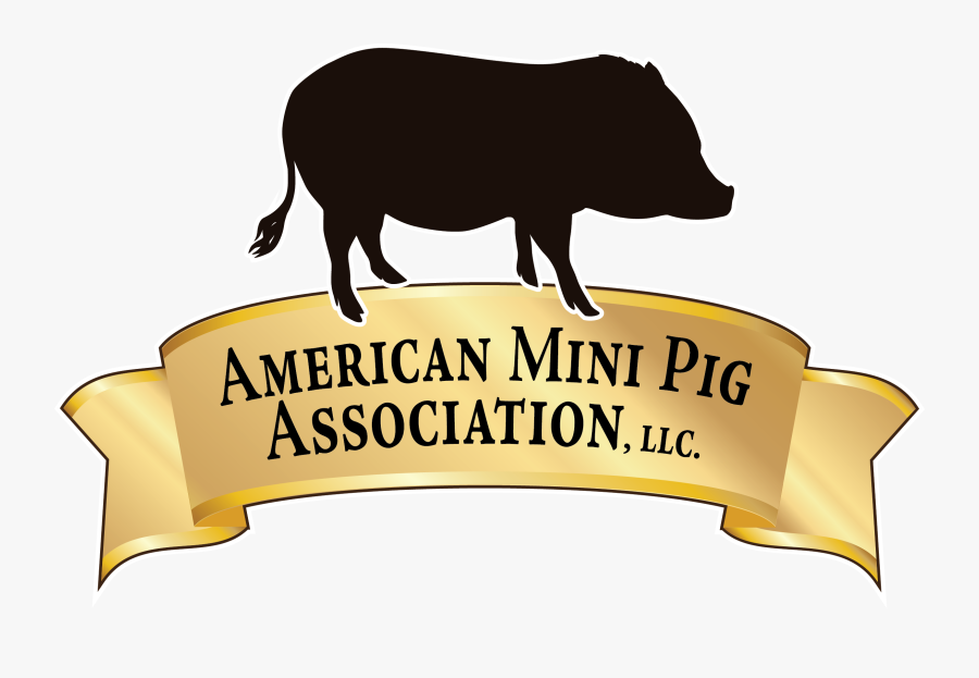 Short Logo Full Color On White , Free Transparent Clipart - ClipartKey